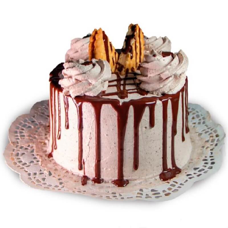 Mini Cake de Nata - Hola America