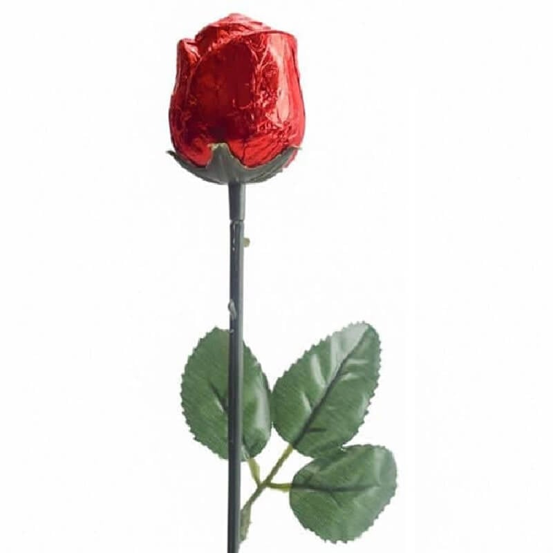 Rosa de Chocolate - Hola America